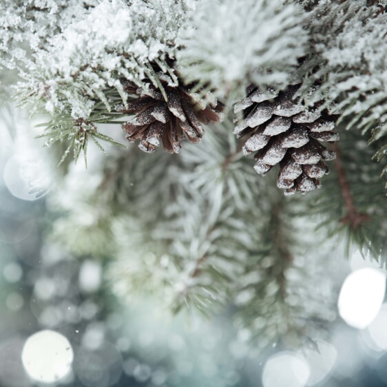 Hospital in Gunnison Valley | Gunnison Valley Health